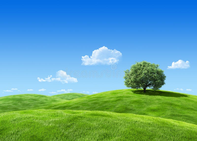 Very Detailed 7000px Tree on Lea Template Stock Illustration ...