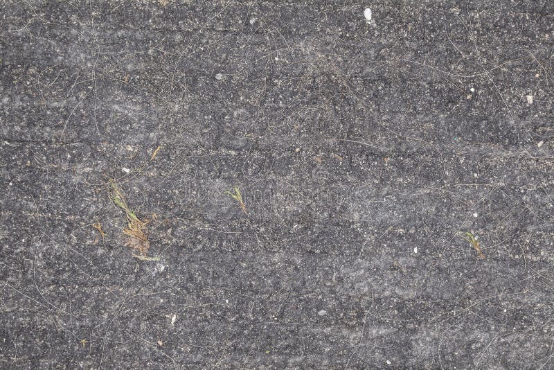 Very dirty carpet stock photo. Image of hoover, electrical - 24890706