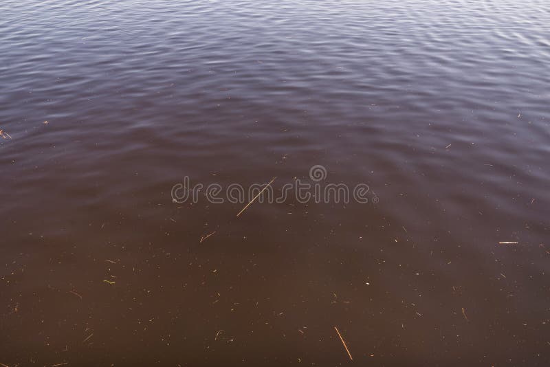 Very Dirty Water in the River. Fresh Water Pollution Environmental ...