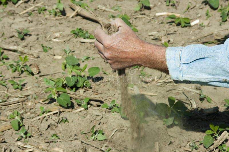 Very dry soil stock photo. Image of nature, dust, plant - 20226246