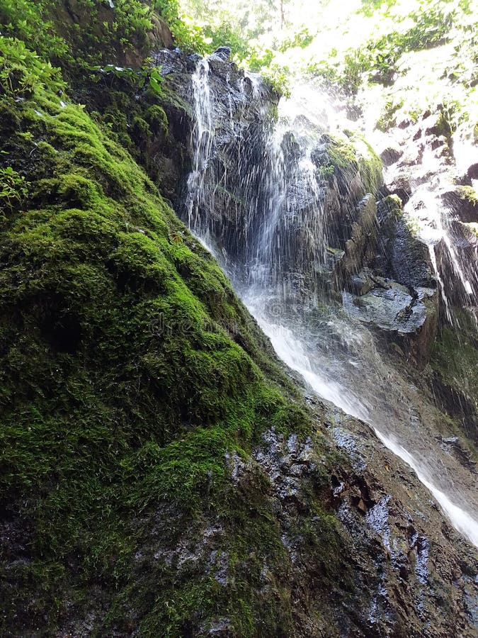 A Very Exotic Waterfall in the Middle of a Wild Forest in Indonesia ...