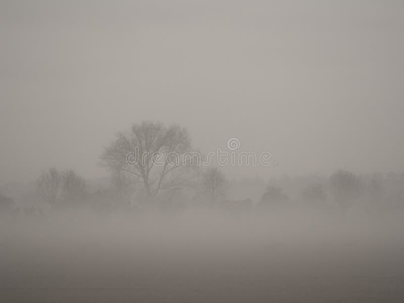 Very Foggy Landscape at Afternoon Stock Image - Image of landscape ...