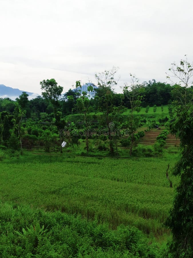 Very Fresh Morning Photo of Mount Merapi and Merbabu Stock Image ...
