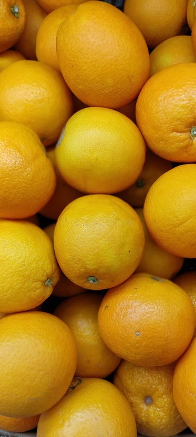 Very Fresh Oranges Rich in Vitamin C Very Good Consumed Every Day Stock ...