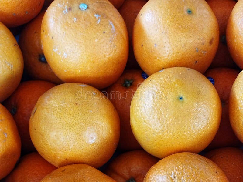 Very Fresh Pile of Yellow Oranges Stock Image - Image of pile, orange ...
