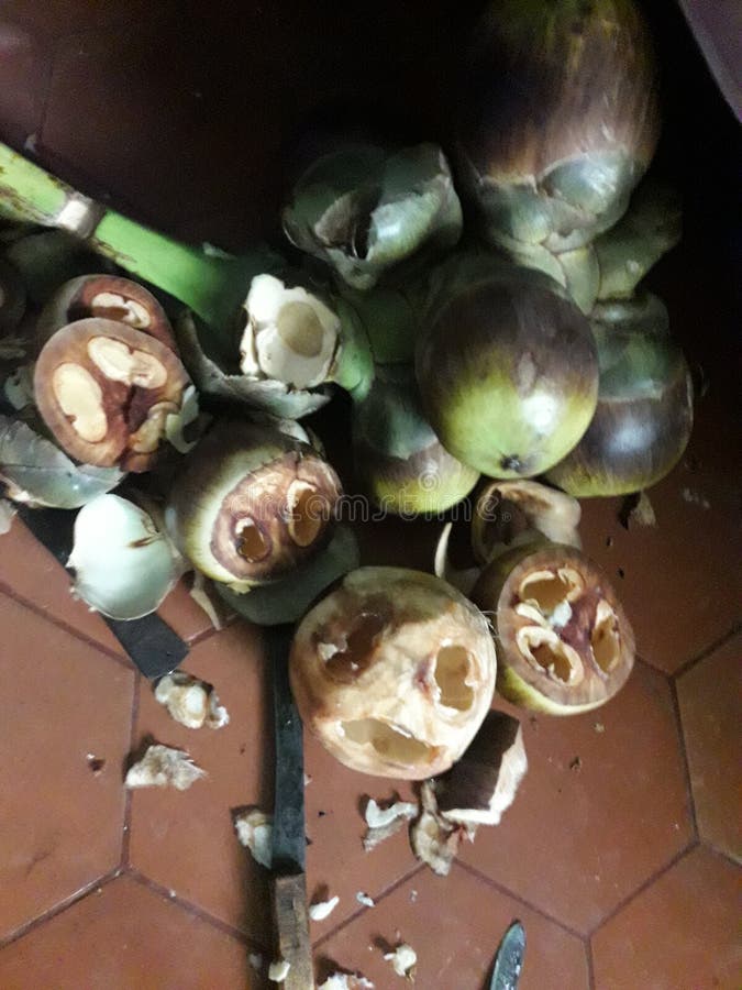 It& x27;s a Pam fruit stock photo. Image of good - 121810656