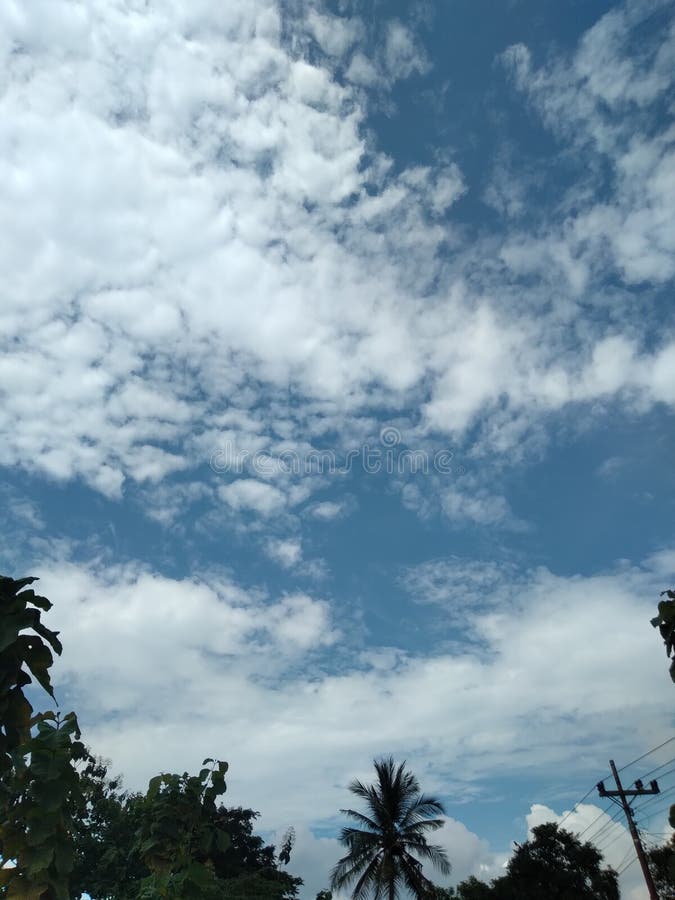 Very Great Day with the Blue Sky Stock Image - Image of tree, azure ...