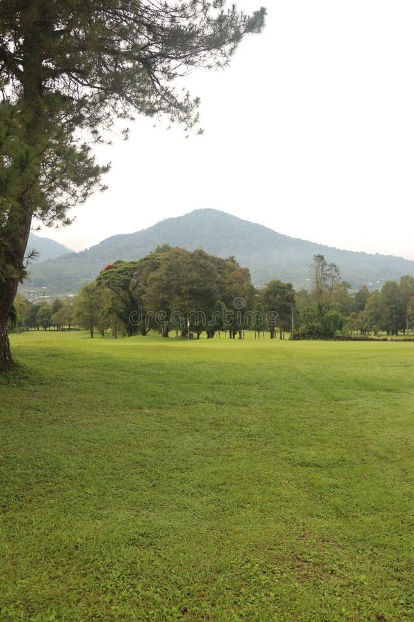 Very Green and Clean Field with Trees and Hills Stock Photo - Image of ...