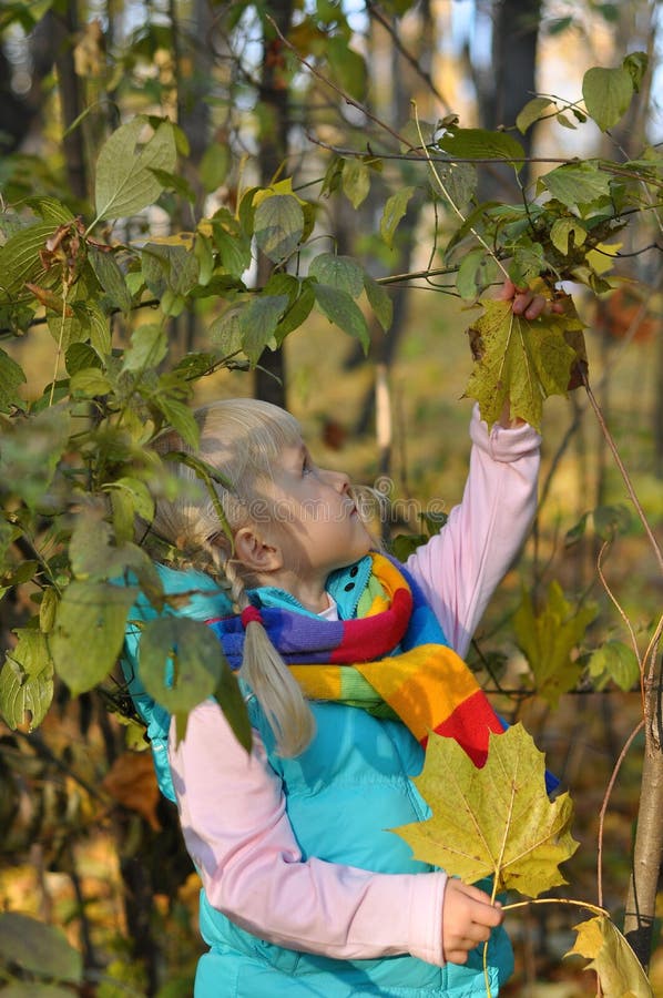 Very Happy Little Girl Outdoors Stock Photo - Image of flower, forest ...