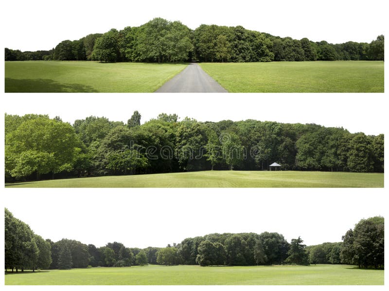 Very High Definition Treeline Isolaeted on a White Background Stock ...