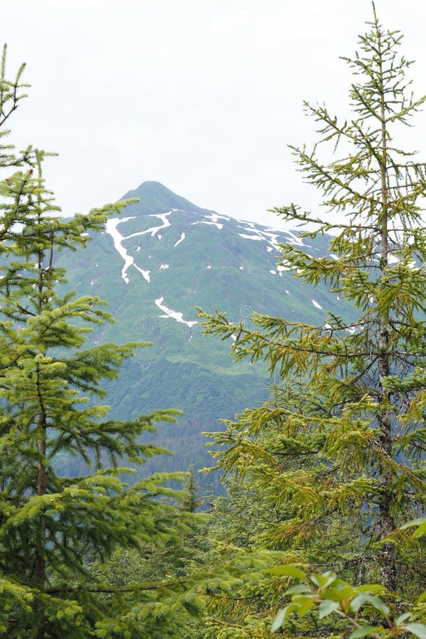A Very High Mountain in the Wilds of Alaska. Stock Image - Image of ...