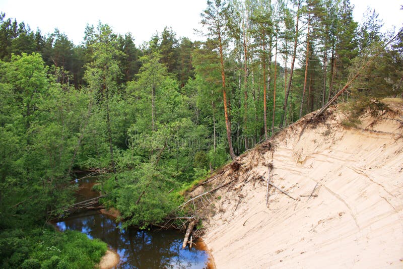 Very High Sandy Beach and Small Rivulet in Green Forest Stock Photo ...