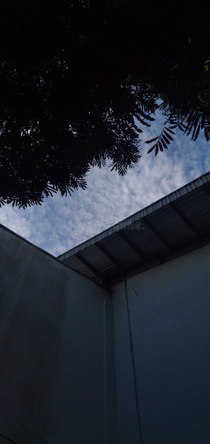 Very horror and impressive stock image. Image of roof - 215197699