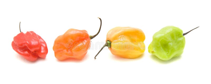 Small peppers stock photo. Image of vegetable, eating - 16118094