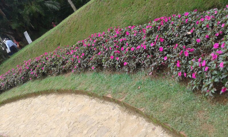 Intersting garding stock image. Image of intersting - 106705329