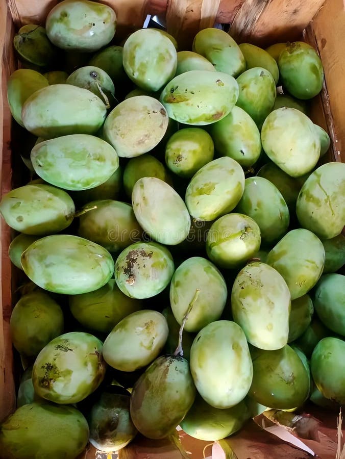 A Very Large Group of Mangoes in a Box Stock Image - Image of mangoes ...