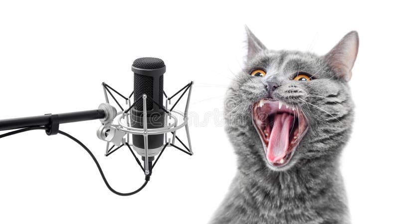 834 Cat Microphone Stock Photos - Free & Royalty-Free Stock Photos from ...