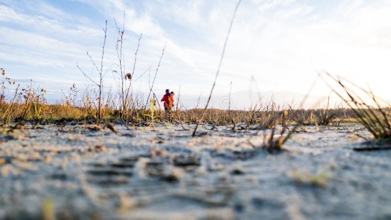 Very Low Angle Shot of Sandy Ground with Grass Under a Sunset Sky Stock ...