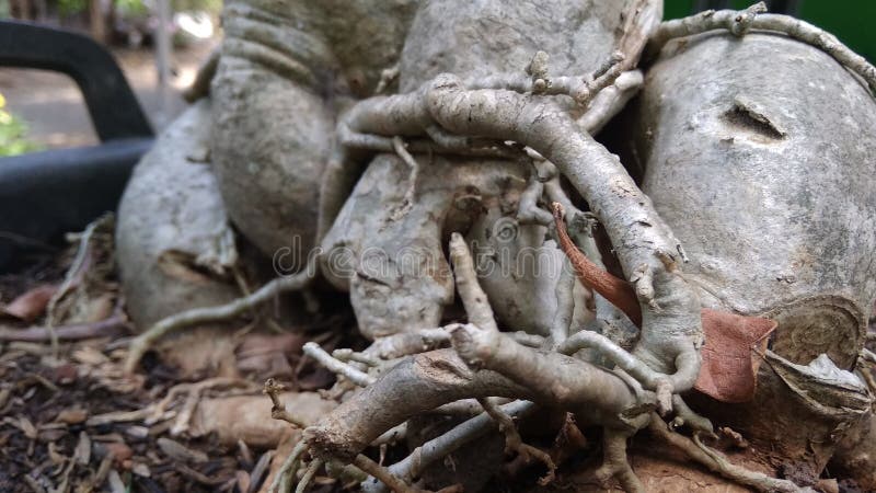 Very many toys stock photo. Image of bright, kids, orange - 35021338