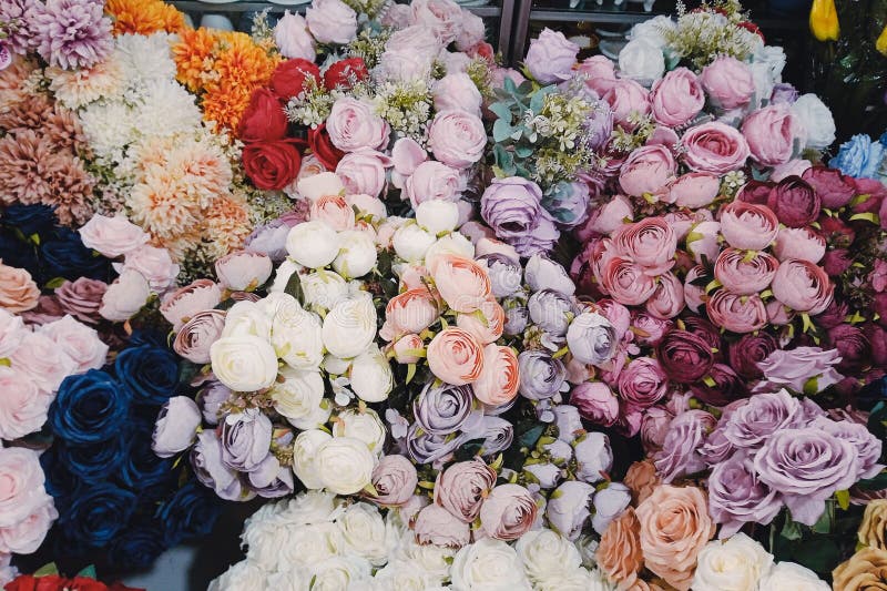 Very Much Flowers Roses and Blooming Stock Photo - Image of roses, love ...