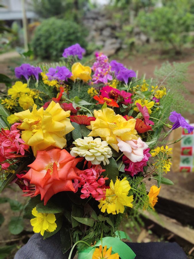 A Very Natural Flower Bouquet Stock Photo - Image of pink, rose: 204685468