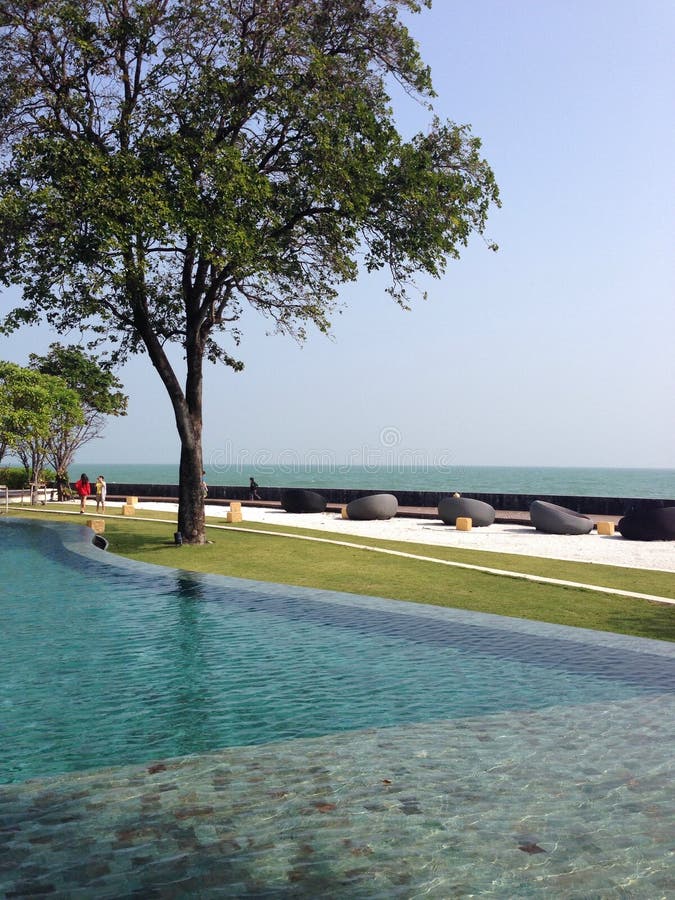 Very Nice!!! stock image. Image of pool, swimming, beautiful - 43121503