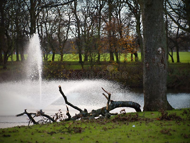Very Nice and Interesting-beautiful Autumn in Forest with Nice Colorful ...