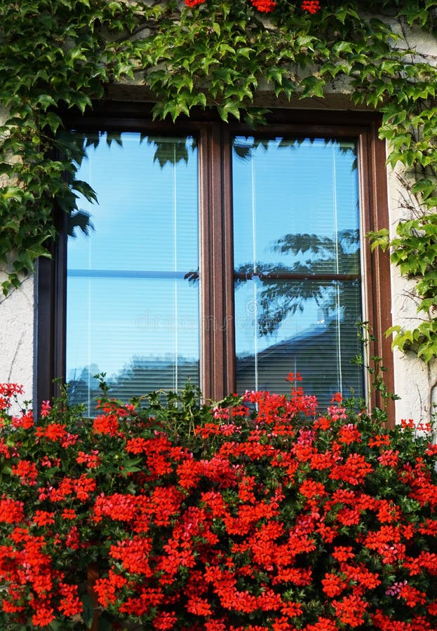 Flower Window Box stock photo. Image of horizontal, exterior - 10734768
