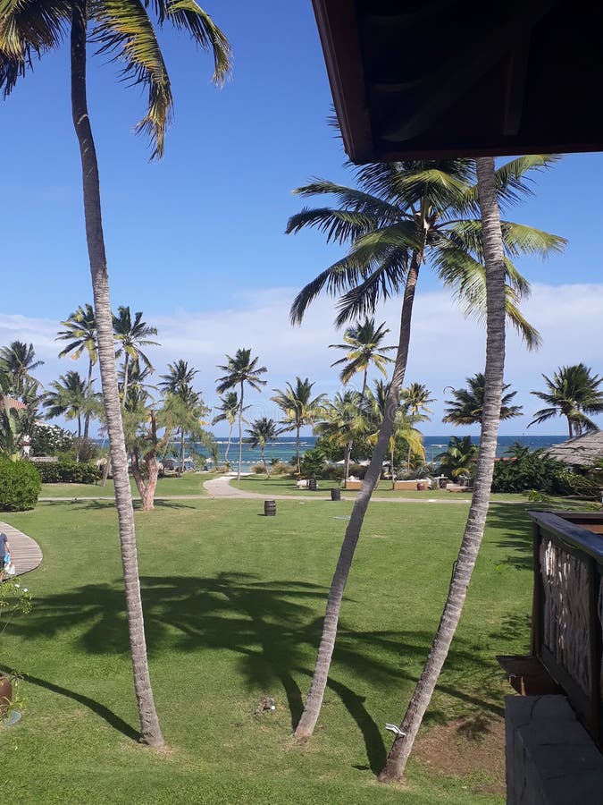 Very Nice Photo of Polynesia Stock Image - Image of polynesia, nice ...