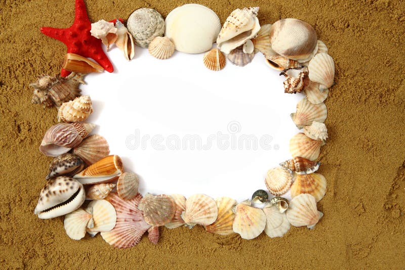 Sand frame with the shells stock image. Image of tropics - 29876263