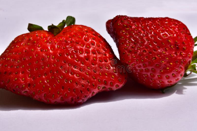 Sweet Red Strawberry Close Up in the Sunshine Stock Photo - Image of ...