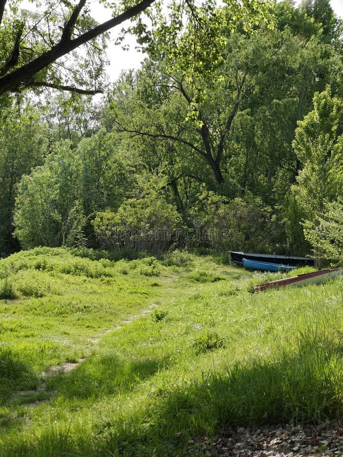 Very Nice View of River Magra Stock Image - Image of nature, forest ...