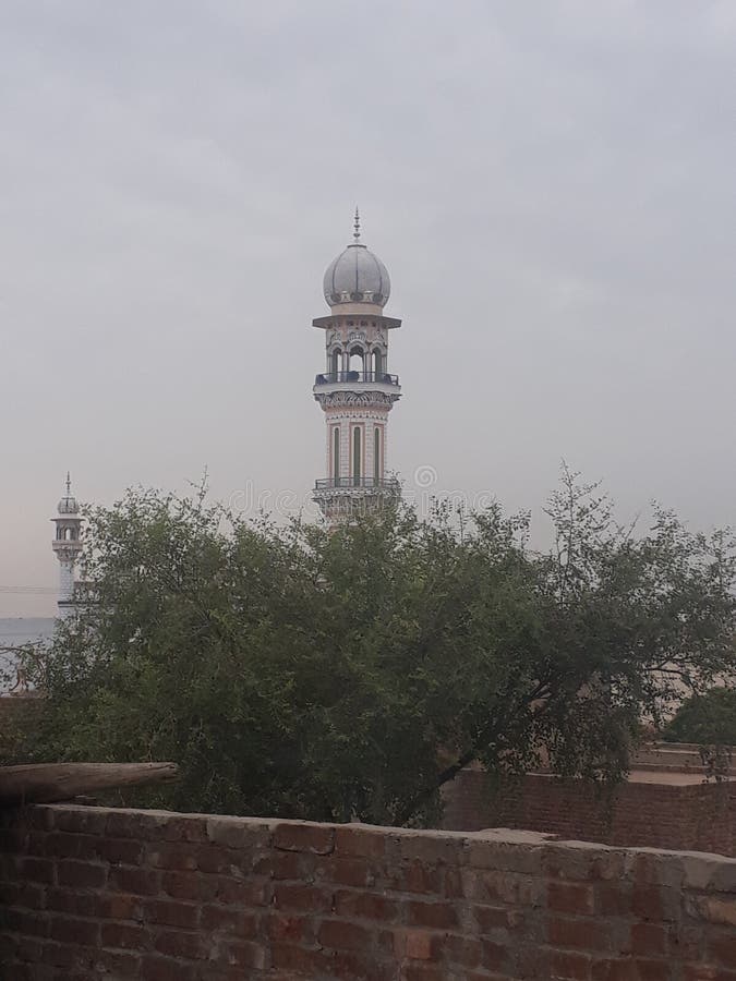 Nice Weather with Pigeon Resting on the Roof with Sky Foreground Stock ...