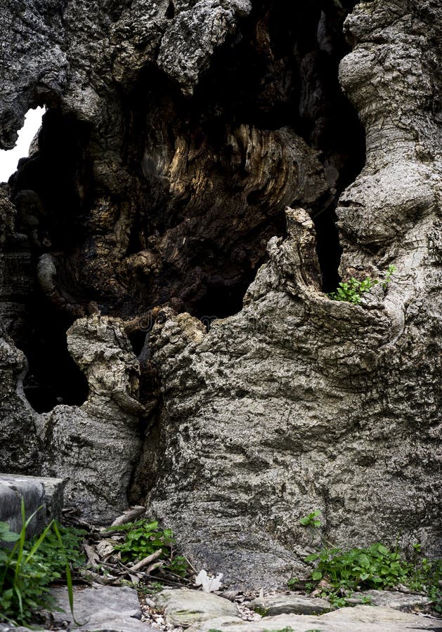 Very Old Rotten Bottom with Emptiness Inside Stock Image - Image of ...