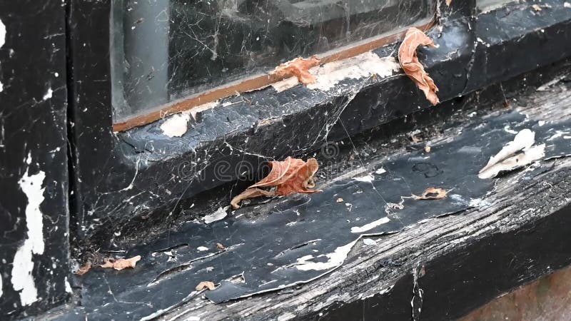 Very old rotting windowsa stock footage. Video of rotting - 300083662