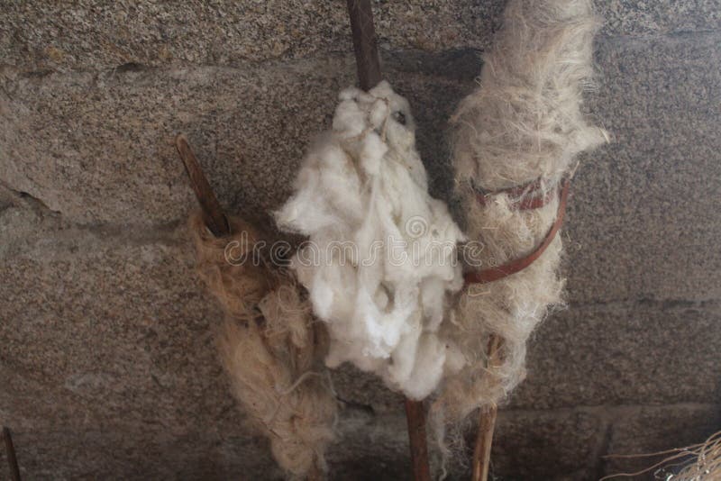 Very Old Sheep Wool for Spinning and Make Garments Stock Photo - Image ...
