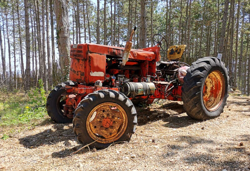 Very Old Tractor in Forest. Red Tractor Stock Image - Image of vintage ...