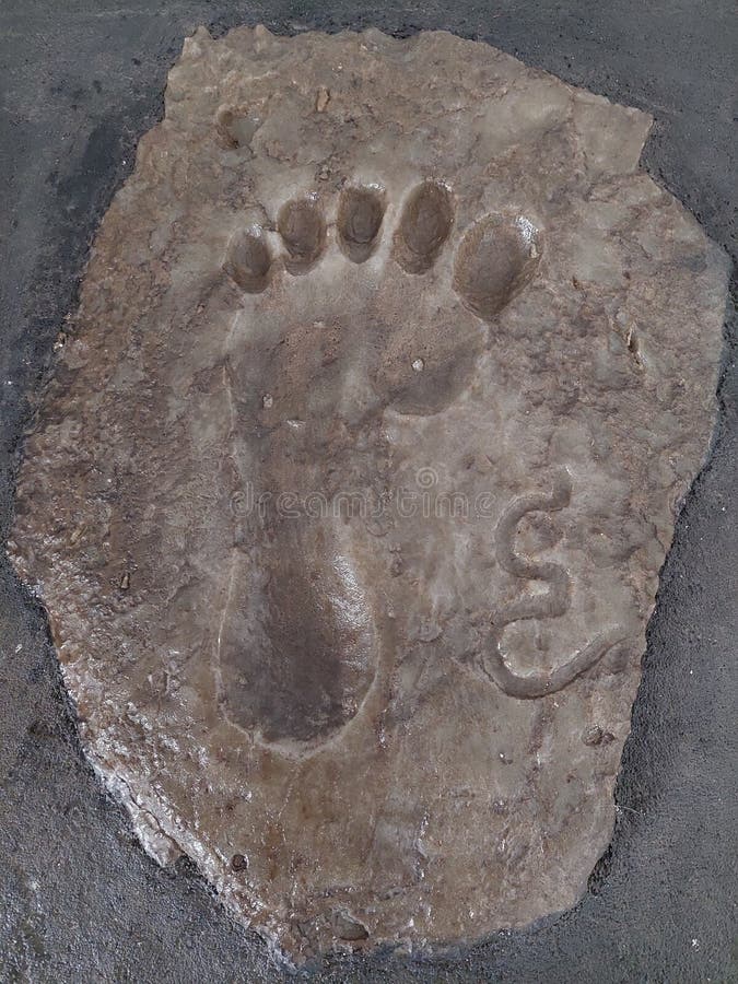 Very Old and Very Unique Giant Feet Stock Photo - Image of feet, unique ...