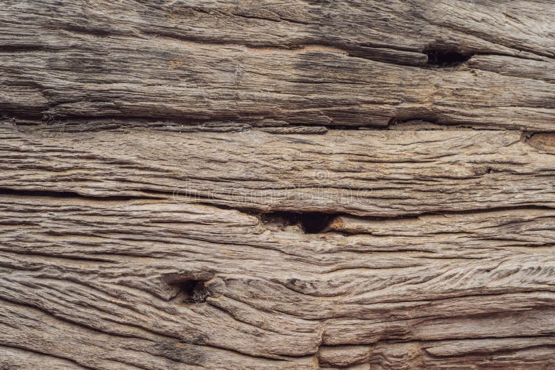 Very Old Wood Background, Closeup. Wood Texture Stock Photo - Image of ...
