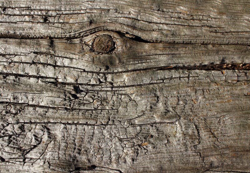 Old Wood Texture Background Stock Photo - Image of retro, dark: 129866718