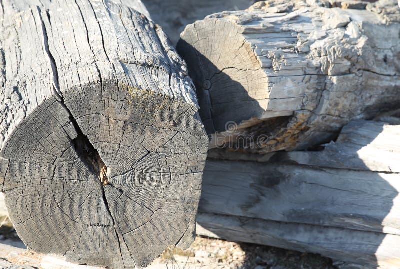 Very old wooden logs stock photo. Image of logs, view - 53570492