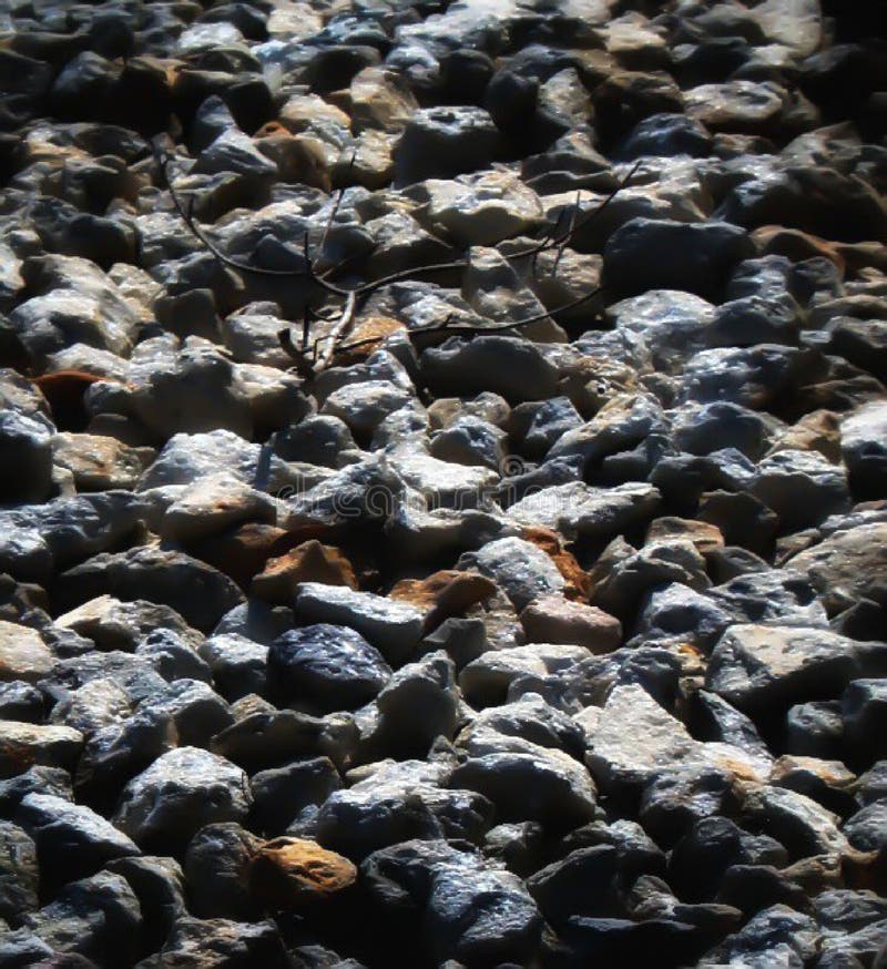 Branch and Rocks in the River Stock Image - Image of rocks, croatia ...