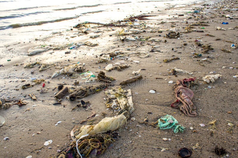 Very polluted beach stock photo. Image of ecology, contamination - 32260024