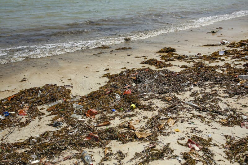 Very polluted beach stock photo. Image of rubbish, water - 32260024