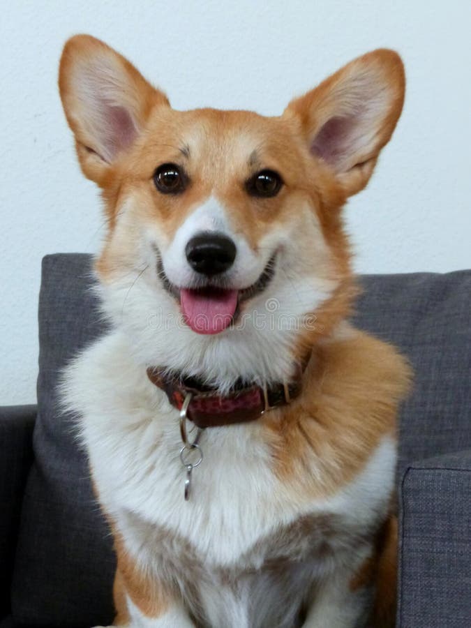 Very Professional Picture. Image: 88033820