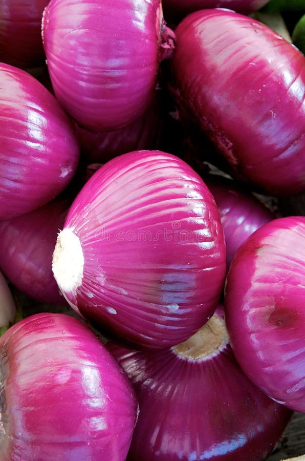 Very red onions stock photo. Image of purple, backgrounds - 5676414