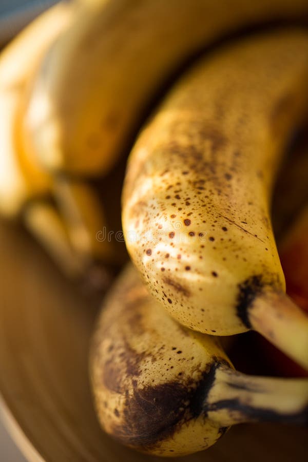 Very Ripe Persimmons stock image. Image of farm, china - 11541187