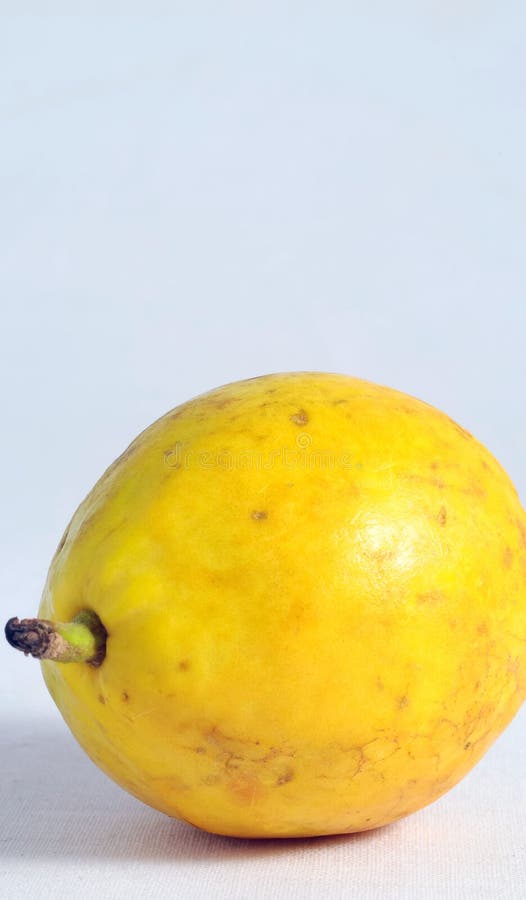 Ripe Fruit stock photo. Image of guayaba, vitamin, grow - 243954914