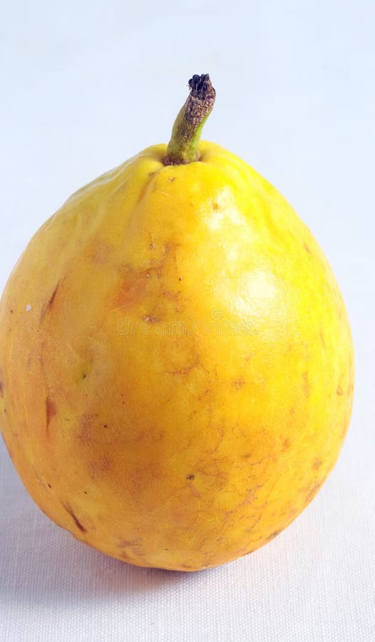 Ripe Fruit stock image. Image of mature, unusual, fruit - 243102073