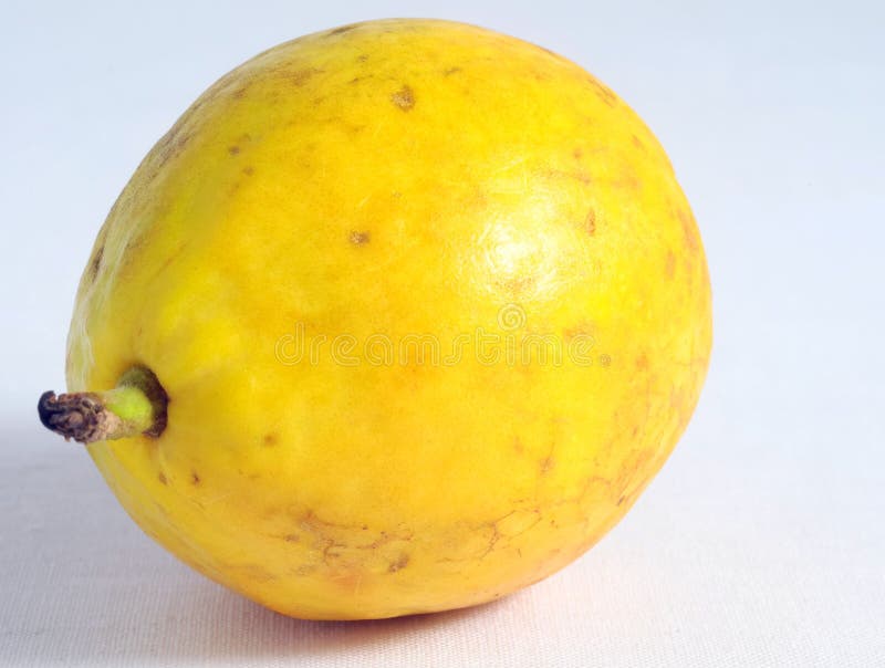 Ripe Fruit stock image. Image of white, grow, isolated - 244964697